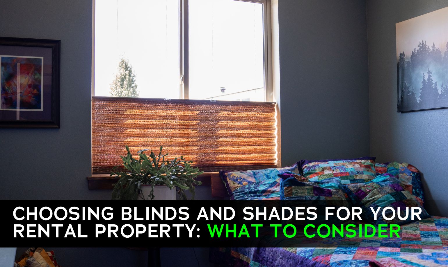 Choosing Blinds and Shades for Your Rental Property: What to Consider - Best Blinds and Awnings